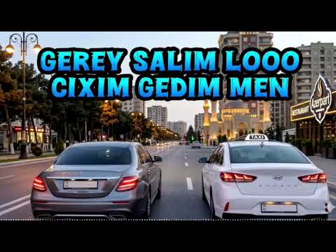 Salım Lo Çıxım Gedim Men | Remix | Mahnılar Pro - Ai Cover ( 2026 Yeni )