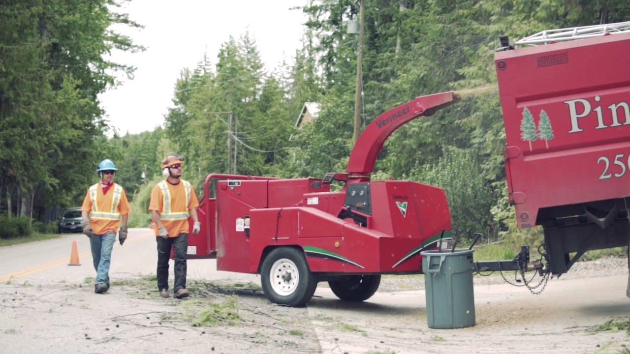 Incredible Tree Removal With Crane - YouTube
