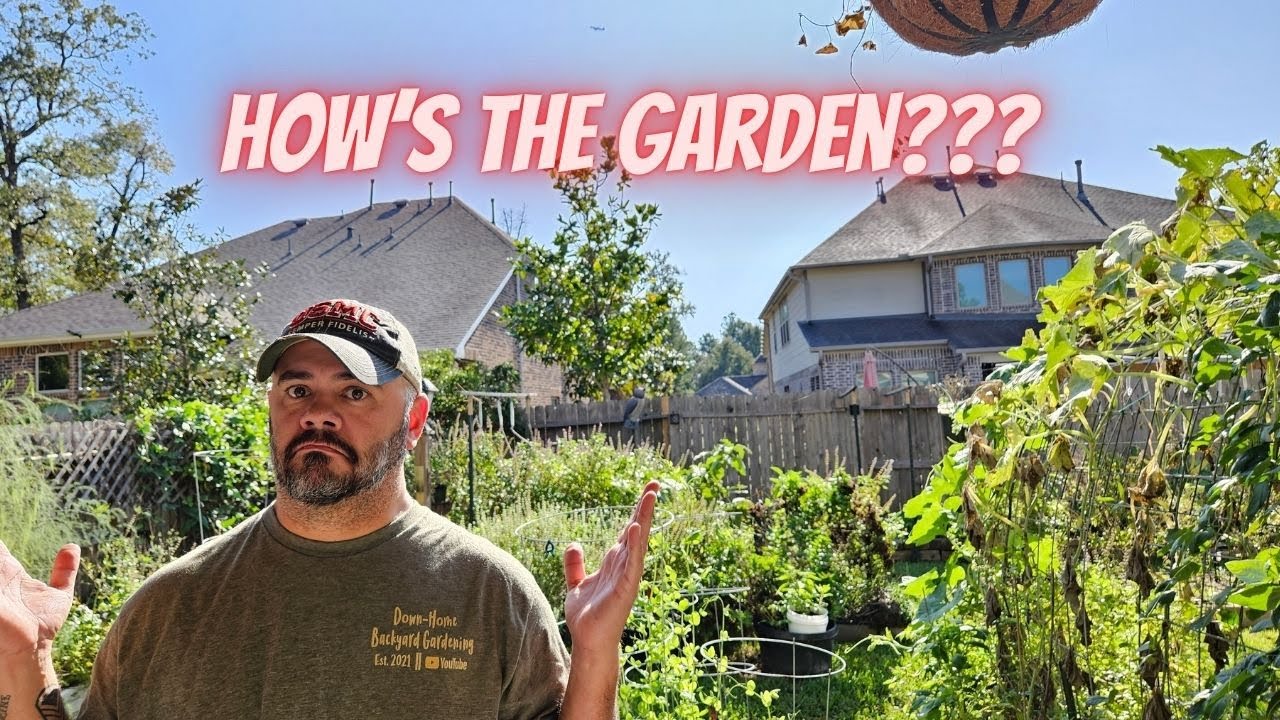 I've Been Gone for 5 Days, Did the Garden Survive? || DHBG - YouTube