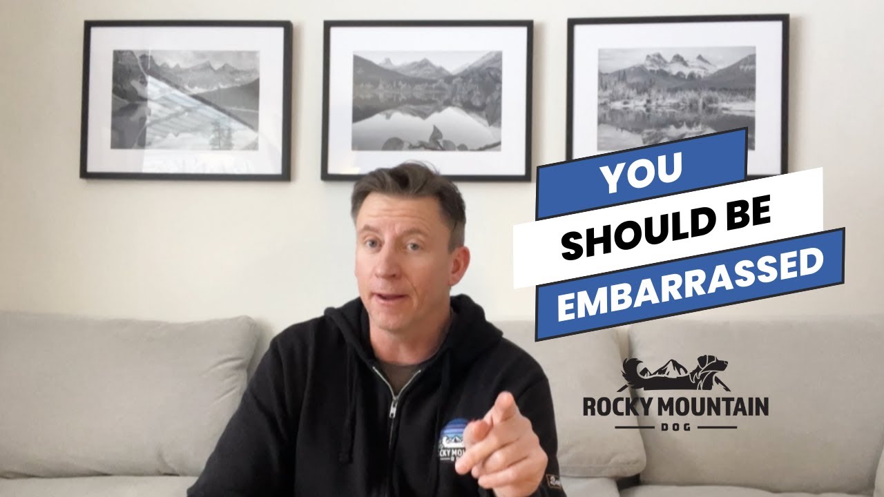 You Should Be Embarrassed! - YouTube