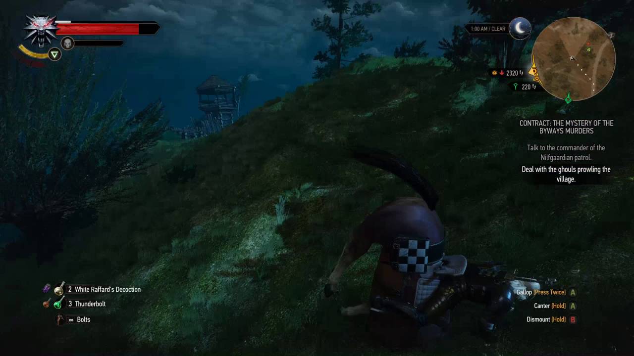 Run Roach Run. The Witcher 3 Glitch - YouTube