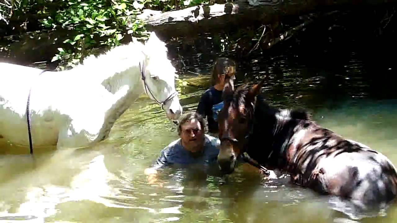 Swimming with the Mules - YouTube
