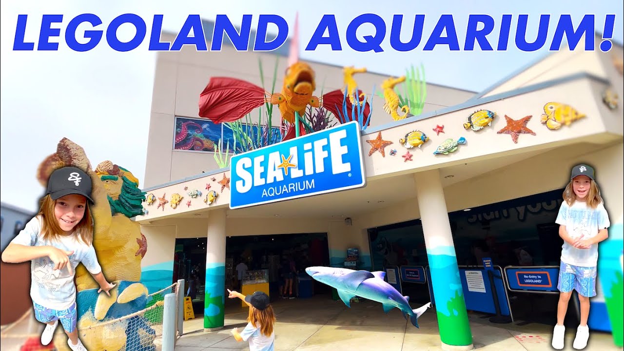LEGOLAND SEA LIFE Aquarium! - YouTube