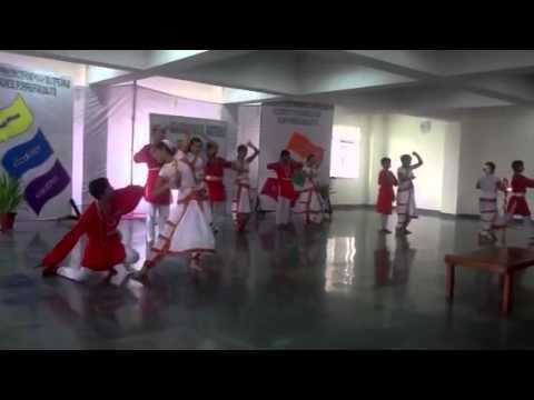 DPS Maruti Kunj Sector 28 Investiture ceremony 2013 - YouTube
