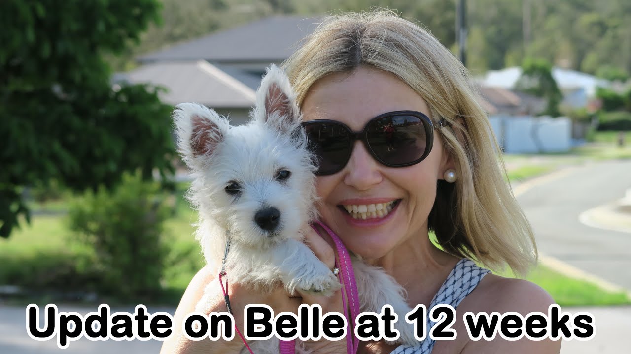Belle Update -- 12 weeks - YouTube