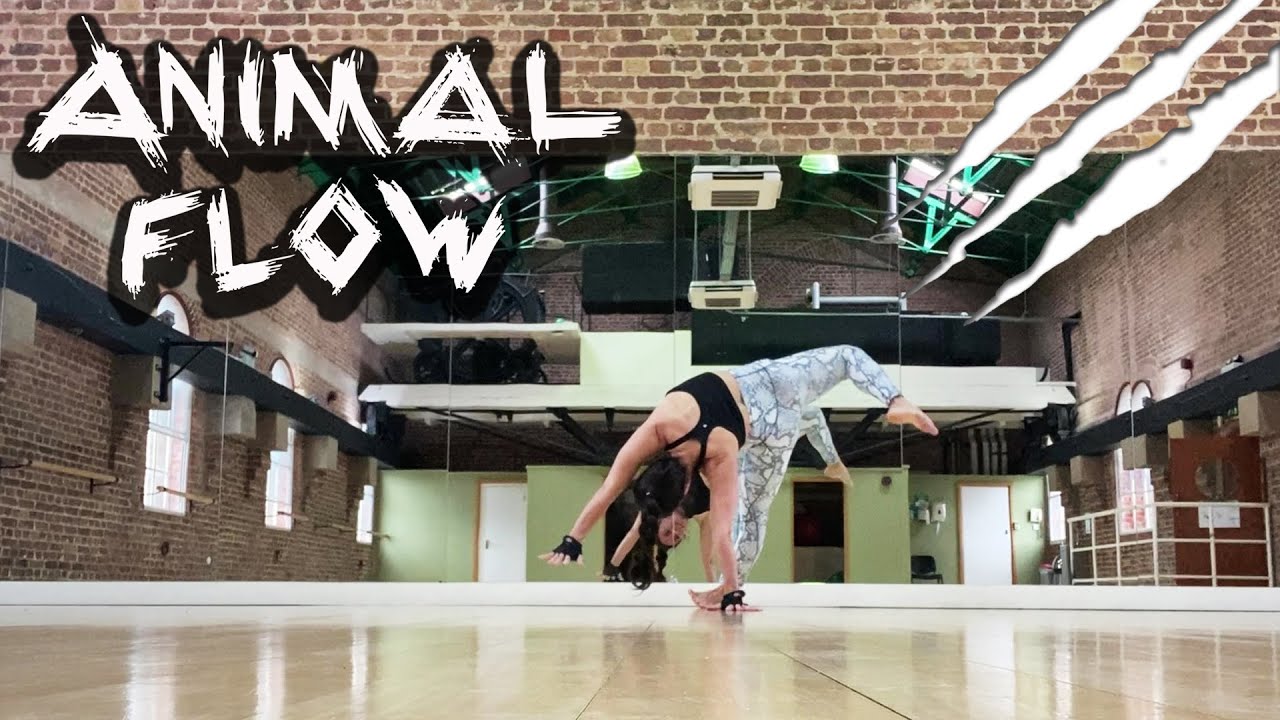 Animal Flow tempo changing flow | You can practice this workout ...