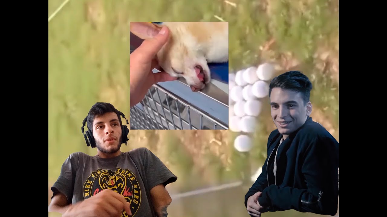 ¿QUÉ PASÓ? ¿TE ASUSTASTE? 😨 ¡REACCIONANDO A UNUSUAL MEMES! - YouTube