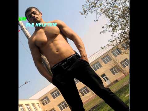 tebriz ter terli