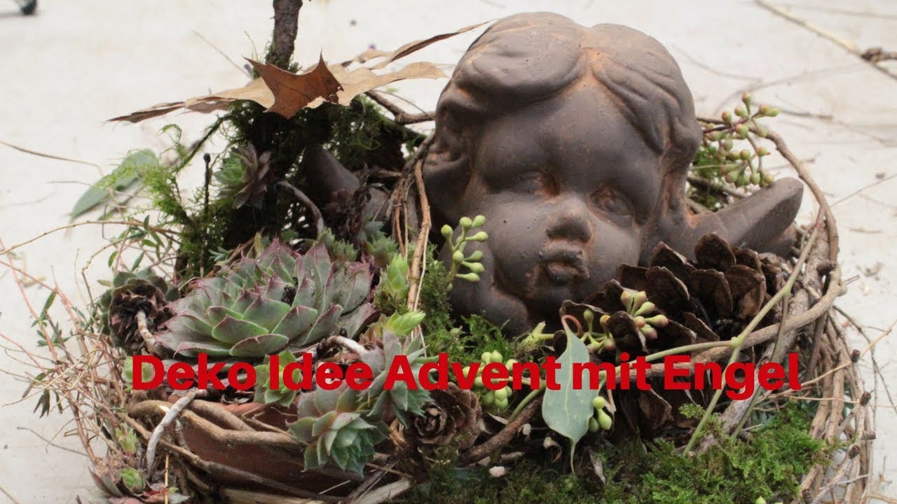DIY - Dekoidee Advent- Engel Hauswurz Dekohit für dein Zuhause - YouTube