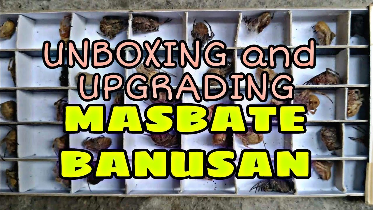 UNBOXING and UPGRADING MASBATE BANUSAN - YouTube