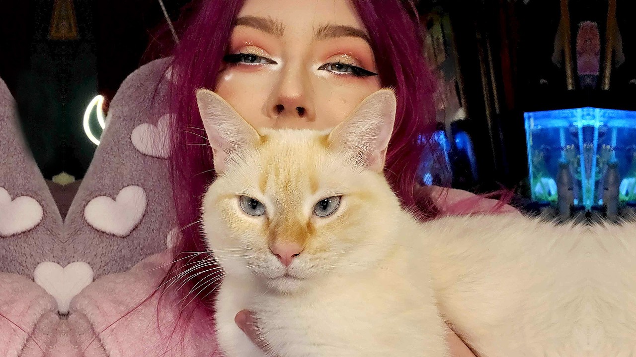 customize your livestream cam frame w/ these 30 free webcam masks ...