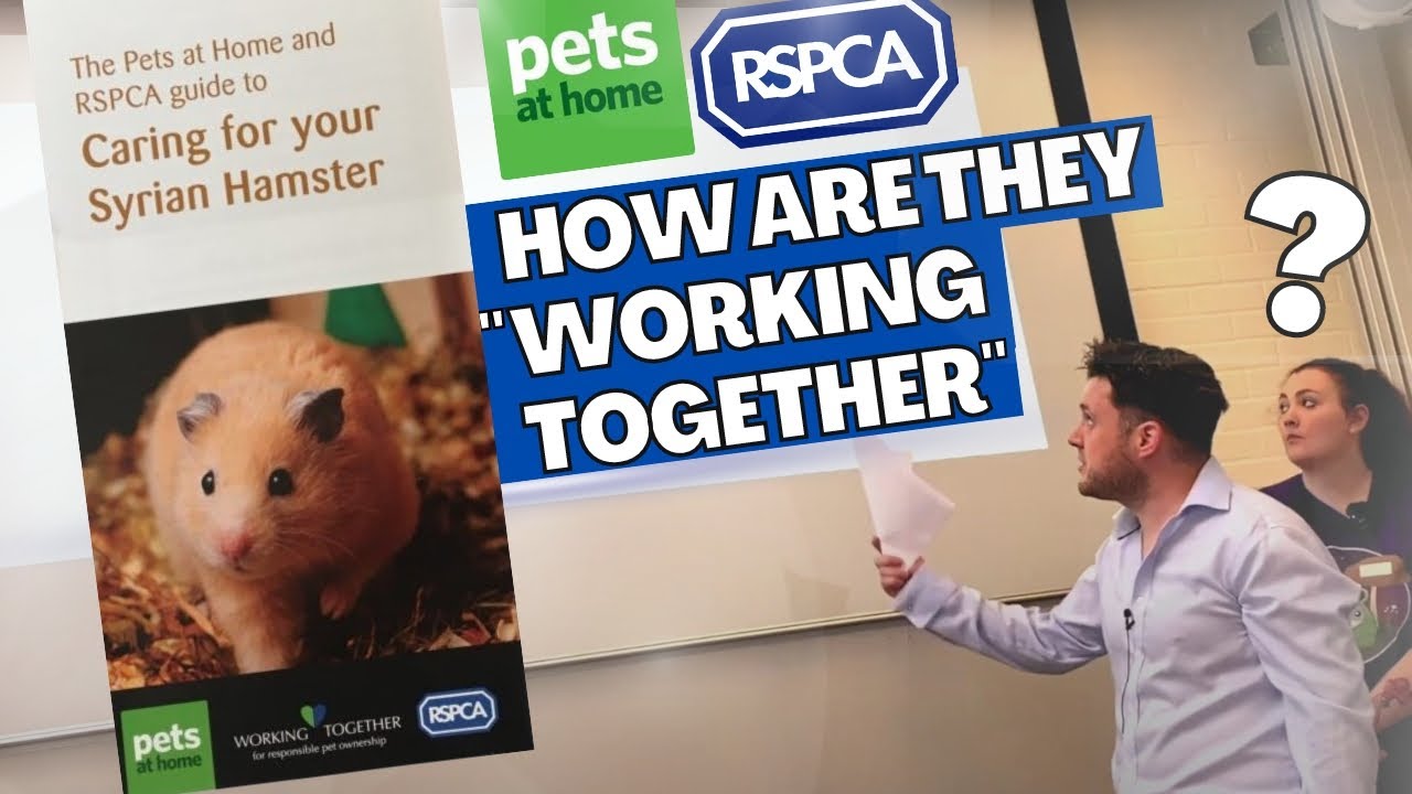 Hamster Fair Speech Exposes Pet Shops!! - YouTube