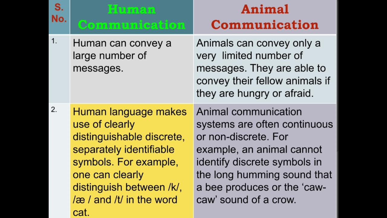 Distinction between Human and Animal Communication - YouTube