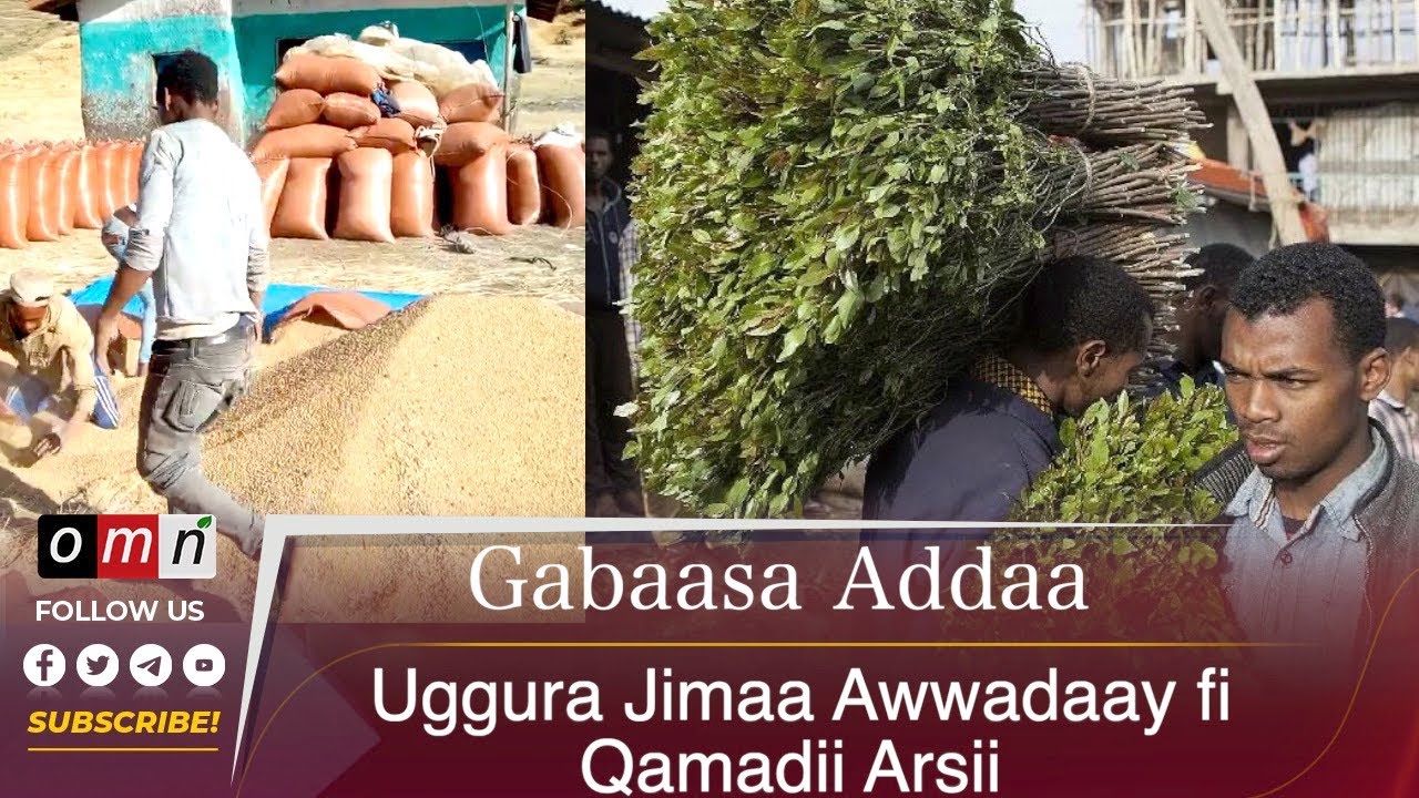 OMN Gabaasa Addaa Jimaa Awwadaay fi Qamadii Arsii Amj 19, 2022 - YouTube