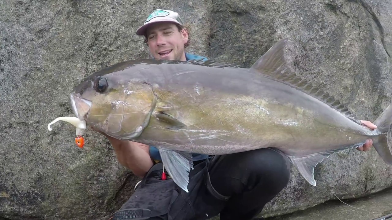 Catching a huge dhufish of the rocks on a soft plastic and a Sampson ...