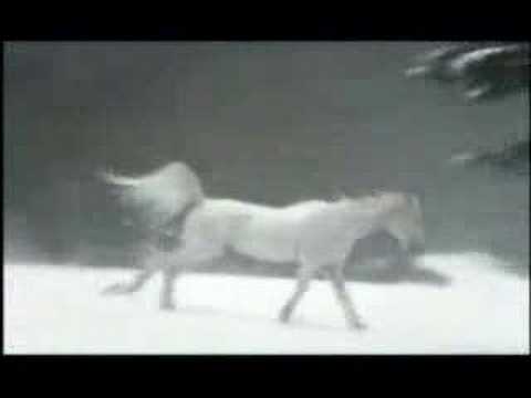 Aynur Haşhaş-Aşık oldum