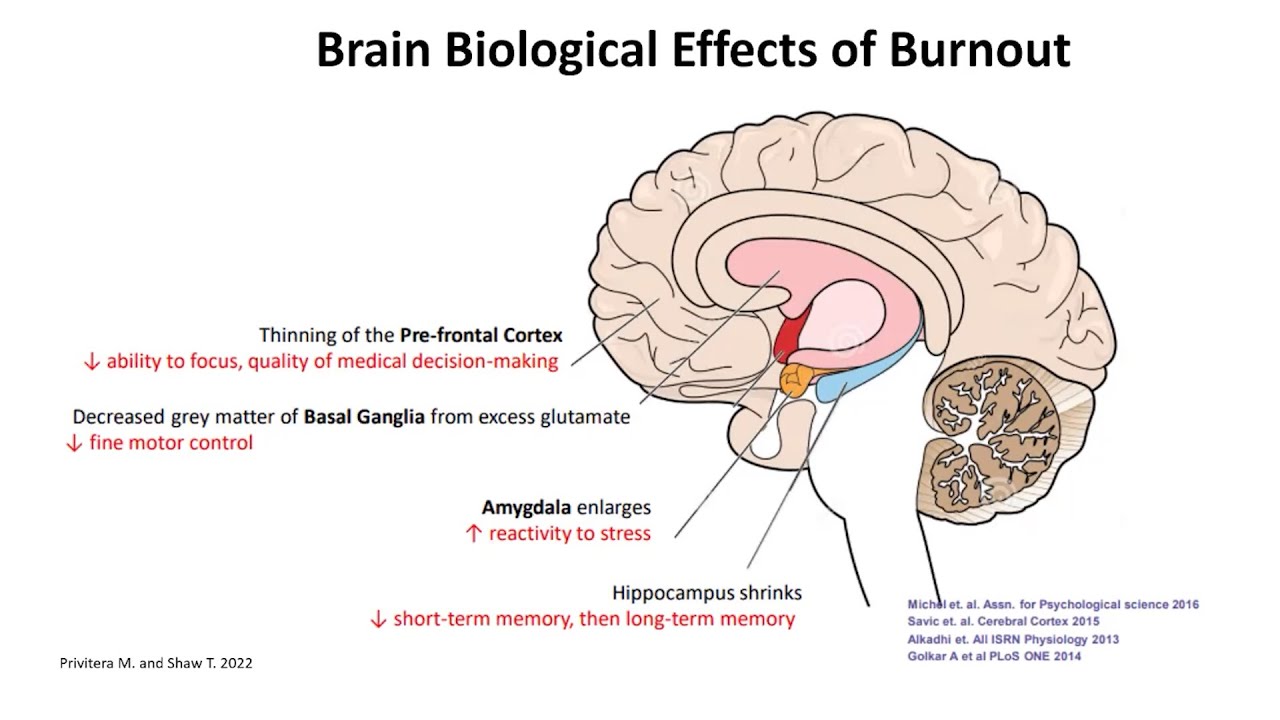 2-1-2023 Psychiatry Grand Rounds | Michael R. Privitera - YouTube