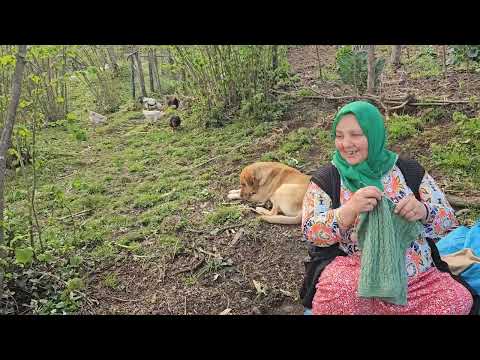 ‼️KÖYDE HAYVANLARI OTLATIRKEN SÜRPRİZ GELEN MİSAFİRLER KALABALIK AKŞAMLAR ‼️☺️☺️