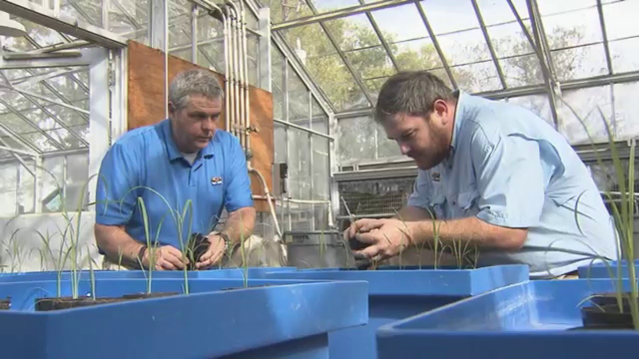 Eric Webster - YouTube