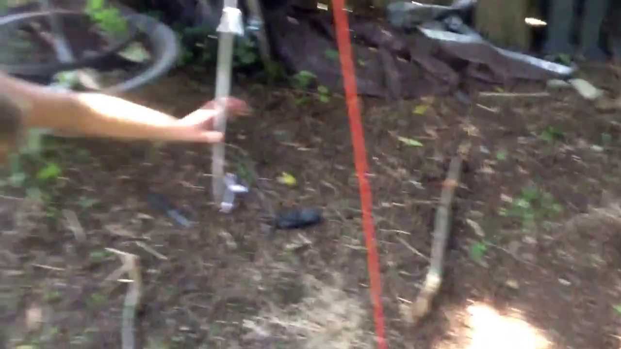 How to make - spring pole trap - YouTube