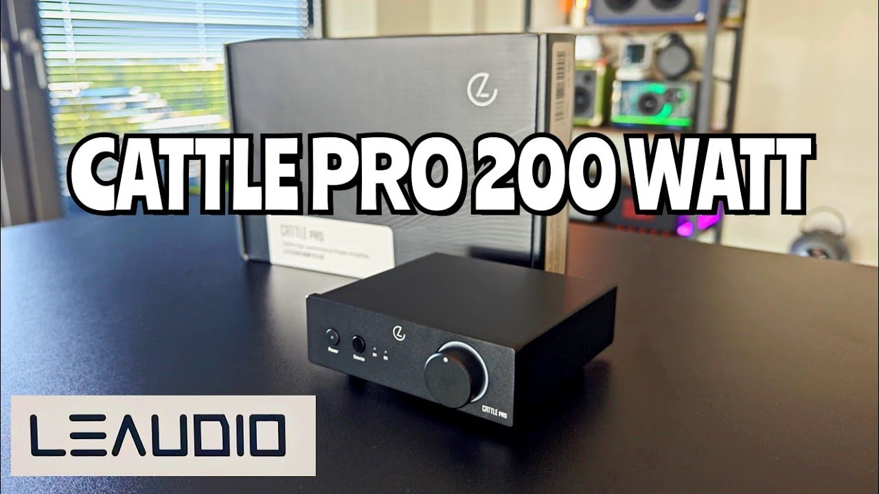 Leaudio Cattle Pro 200Watt Amplifier - Short Review "EASY SETUP & SOLID ...