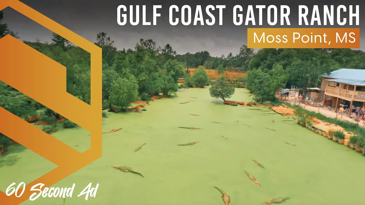 Gulf Coast Gator Ranch & Tours Promo - YouTube