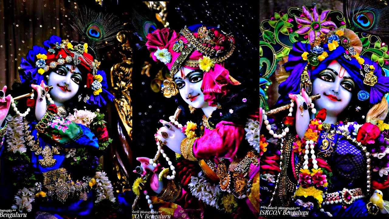 Pal ek pal Song Status || Radhe Radhe || Aesthetic Status | Radha ...