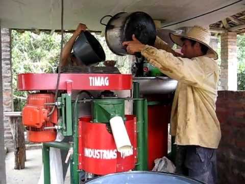 lavado de café - YouTube