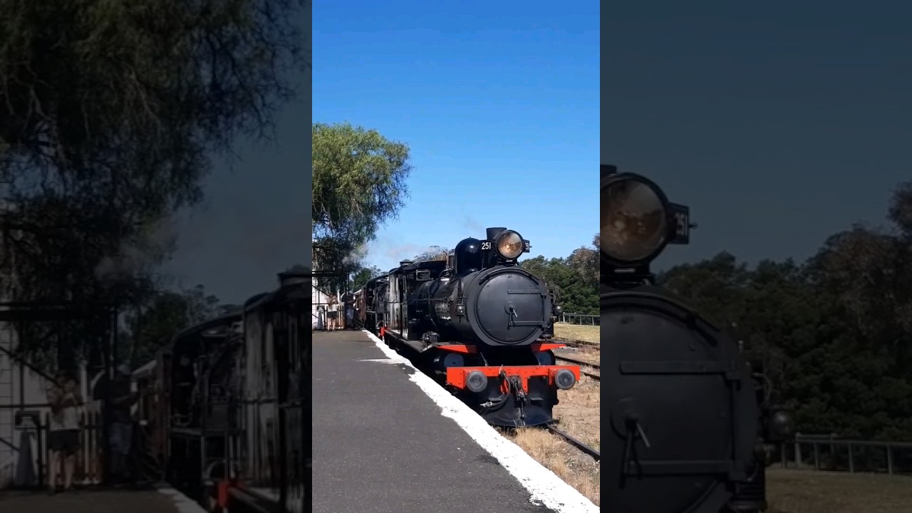 SAR T251 and SAfR double heading at Drysdale - YouTube