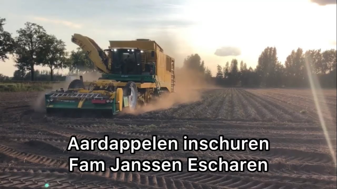Aardappelen inschuren bij de Fam Janssen te Escharen - YouTube