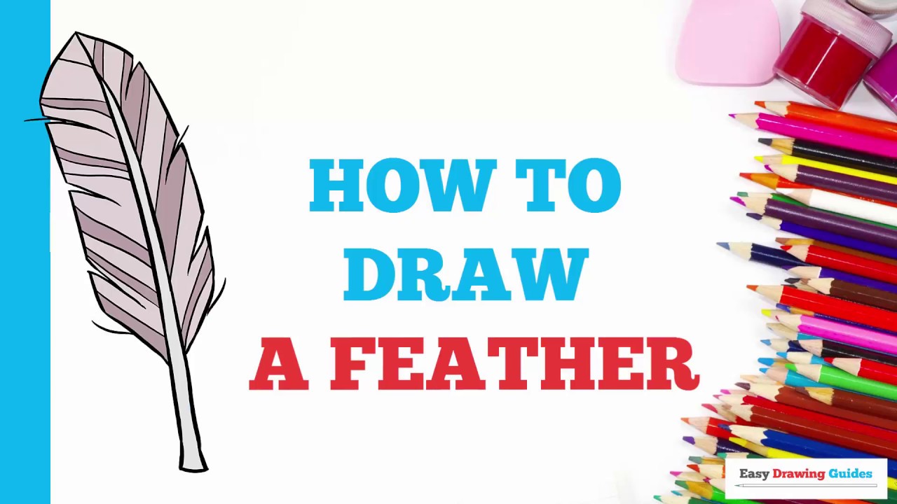 How to Draw a Feather in a Few Easy Steps: Drawing Tutorial for ...