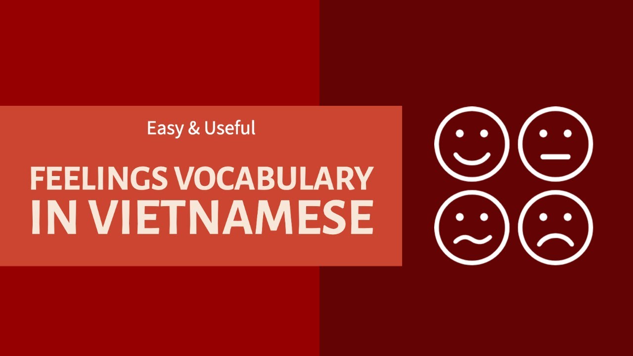 Feelings Vocabulary in Vietnamese | Từ vựng về cảm xúc trong tiếng Việt ...