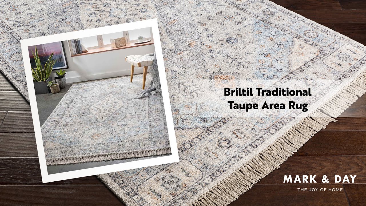 Briltil Traditional Taupe Area Rug - YouTube
