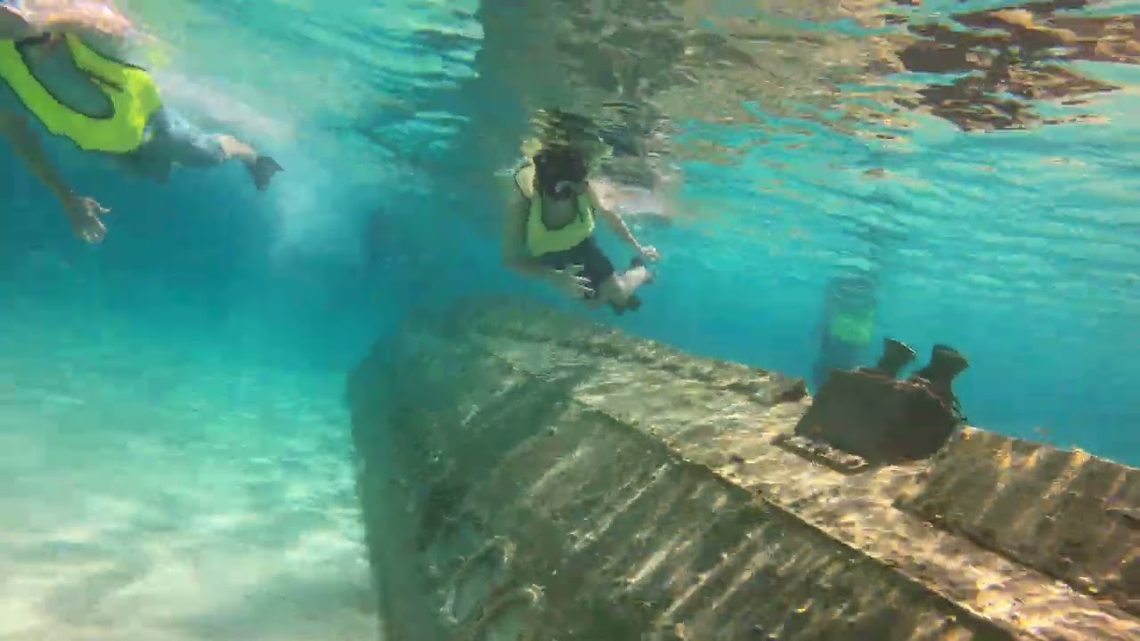 Revisiting Diving on the Disney Castaway Cay Nautilus Submarine from ...