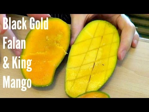 Mango Review (Black Gold, Falan & King) - Weird Fruit Explorer - Ep 106 ...