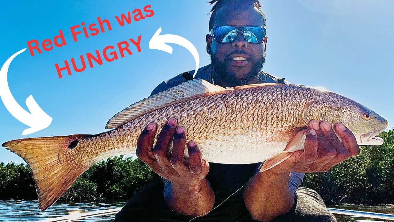 Red Fish WAs Loaded on this one Bush - YouTube