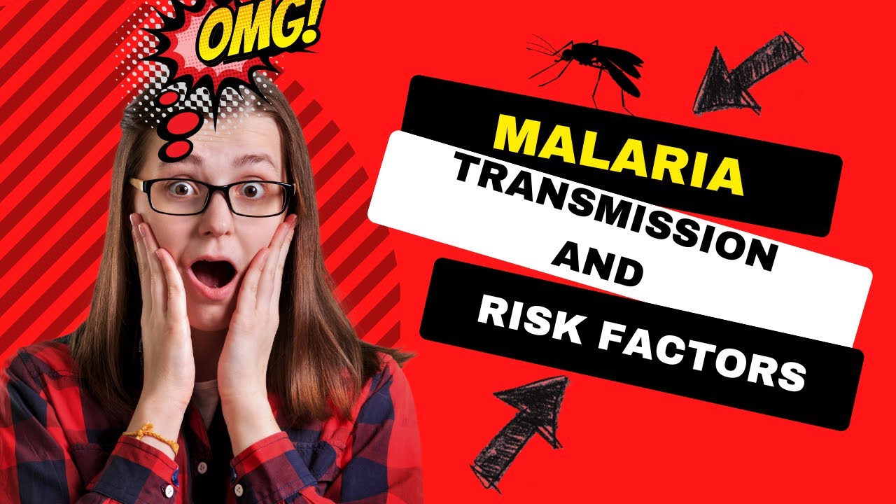 Understanding Malaria: Transmission and Risk Factors - YouTube