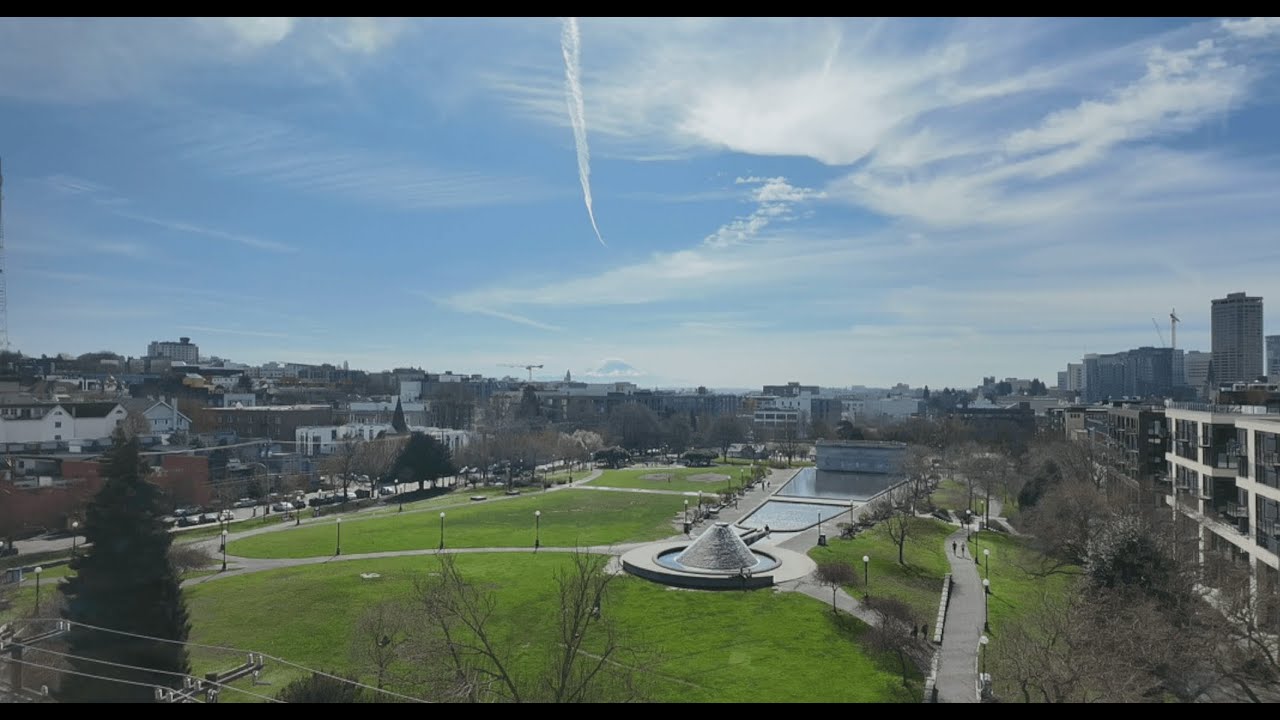 Live Now: 4k Seattle Park Cam - Come watch the action, chat, & chill to ...