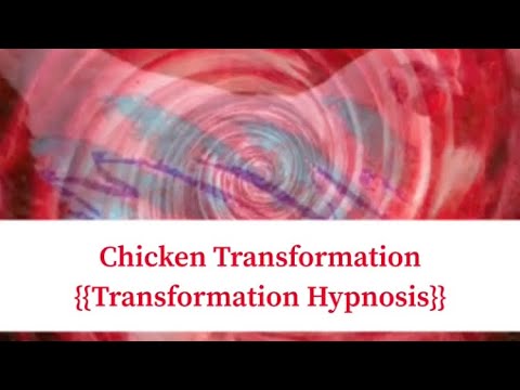 {{Hypnosis}} Chicken Transformation - YouTube