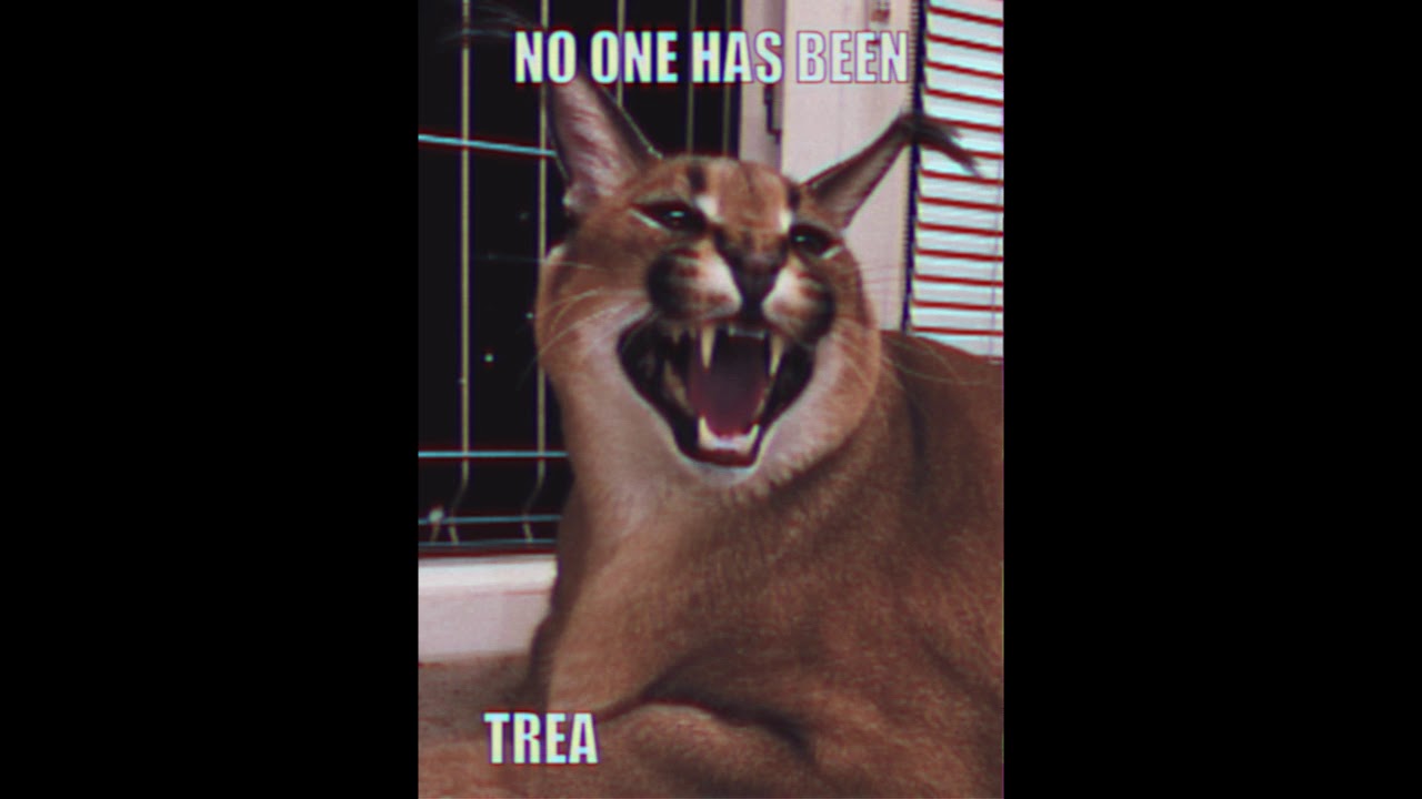 Big Floppa Doctor - YouTube