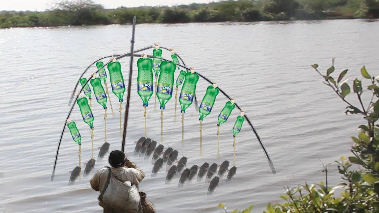 Amazing Plastic Bottle Technique Trap Using Bottles - Trap Fish - YouTube