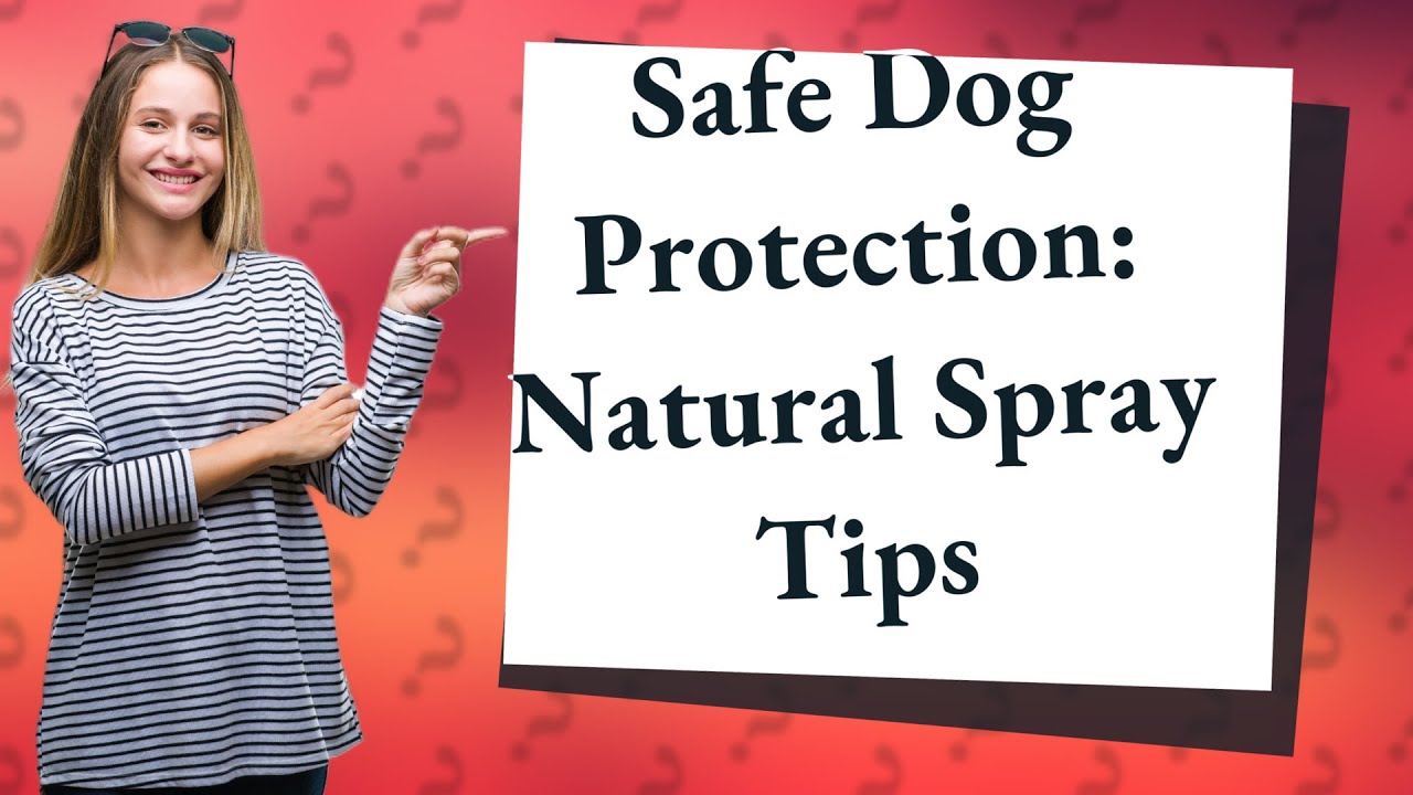How Can I Safely Use Natural Flea and Tick Spray for My Dog? - YouTube