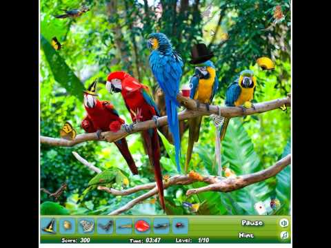 Zoo Hidden Objects - YouTube