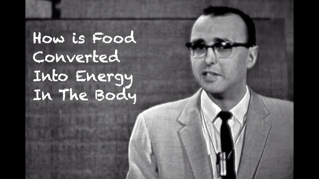 How is Food Converted Into Energy In The Body - YouTube