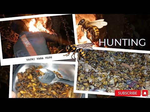 ARINGAL HUNTING - झण्डै मारेन, राती राती जङ्गल मा आगो बालेर मासुम किरा ...