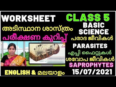 std 5 basic science worksheet പരാദ സസ്യങ്ങൾ / parasites / എപ്പി ഫൈറ്റുക ...