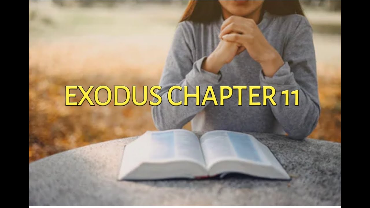 EXODUS CHAPTER 11 - YouTube