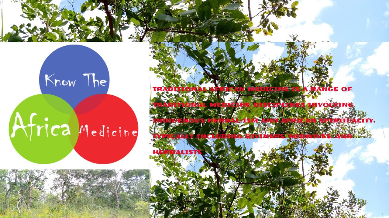#NEEMTREE AfricanMedicine #Mwarobaini THE WONDER OF THE NEEM TREE - YouTube