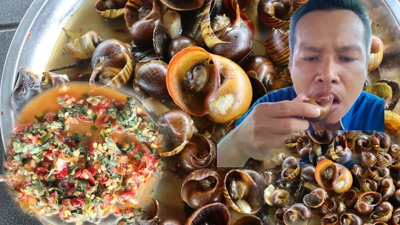 Eat very tasty steamed Snails yummy yummy - YouTube