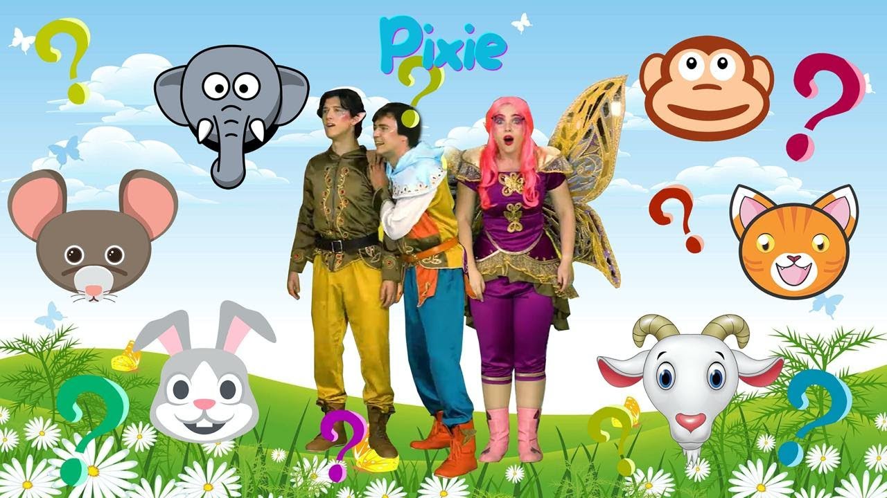 Can you guess these animals | Pixie Kids Songs - YouTube